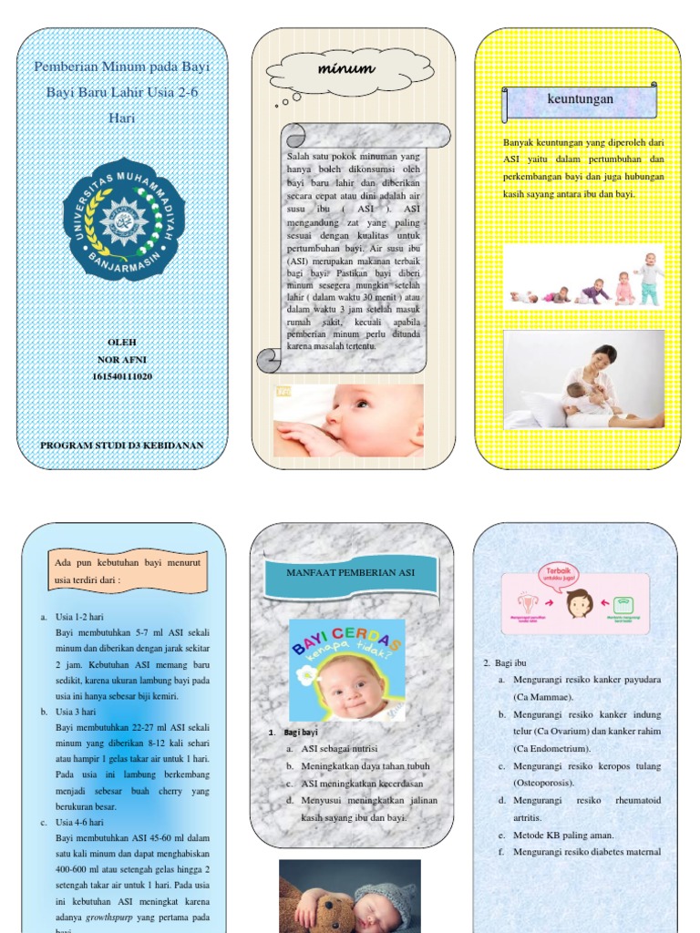 Pemberian Minum Pada Bayi Bayi Baru Lahir Usia 2-6 Hari | PDF