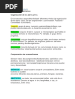 Los Seres Vivos y El Medio Ambiente 3º Primaria | PDF | Plantas | Alimentos
