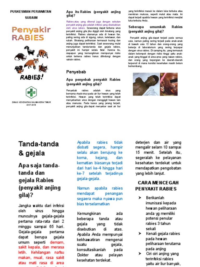 Penyebab: Apa Itu Rabies (Penyakit Anjing Gila) ? | PDF