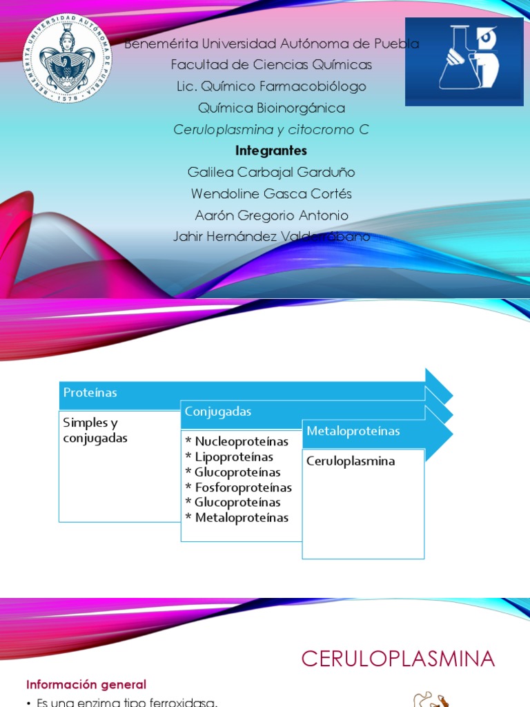 Ceruloplasmina y Citocromo C | PDF | Citocromo | Cadena de transporte ...