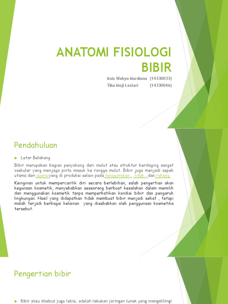 Anatomi Fisiologi Bibir | PDF