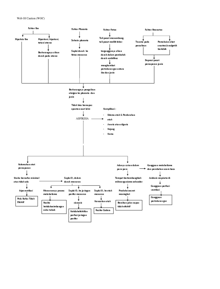 Web of Caution | PDF