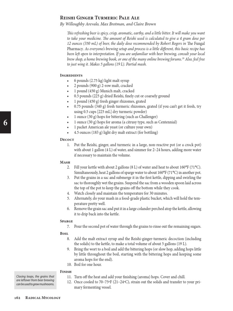 Reishi Ginger Tumeric Beer | PDF | Brewing | Beer