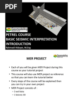 Petrel Manual by Next Schlumberger | PDF