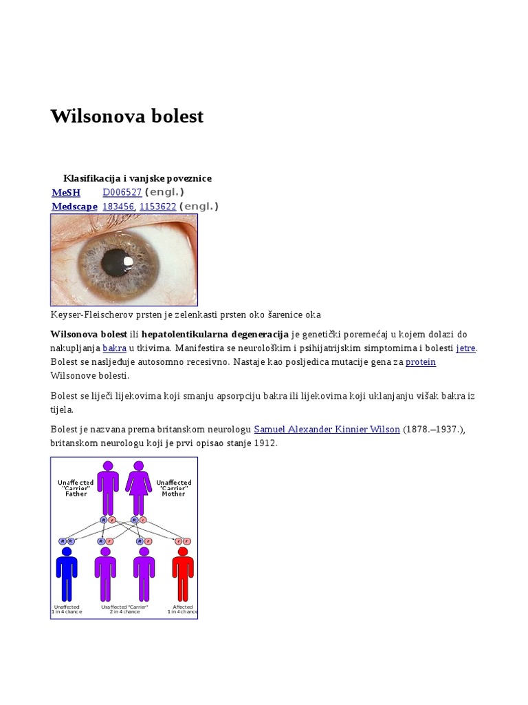 Wilsonova Bolest | PDF