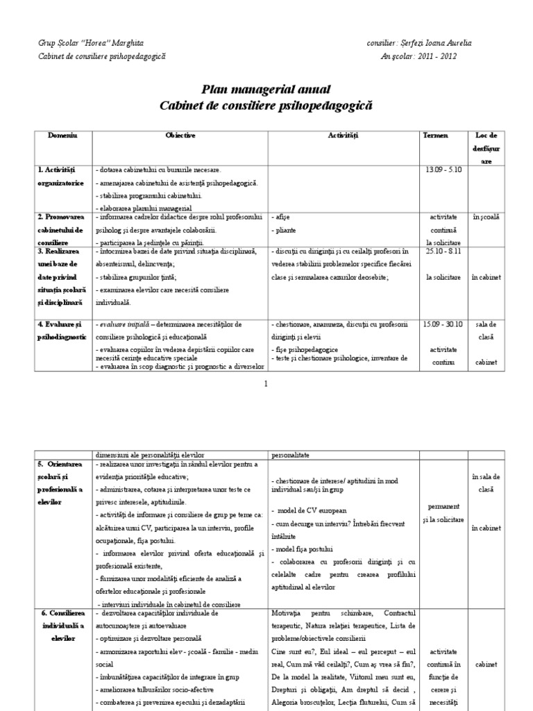 Plan Managerial Consiliere | PDF