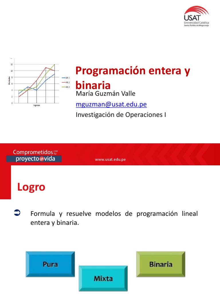 Programaciòn Lineal Entera y Binaria | PDF | Programación lineal | La ...