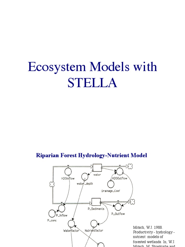 STELLA Models | PDF | Wetland | Ecosystem