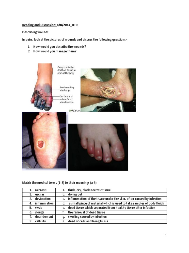 Describing Wounds | PDF | Wound | Diseases And Disorders