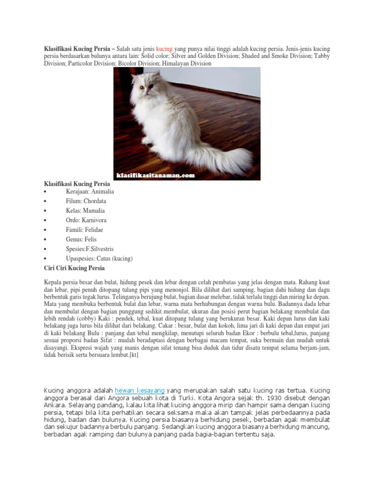 Klasifikasi Kucing | PDF