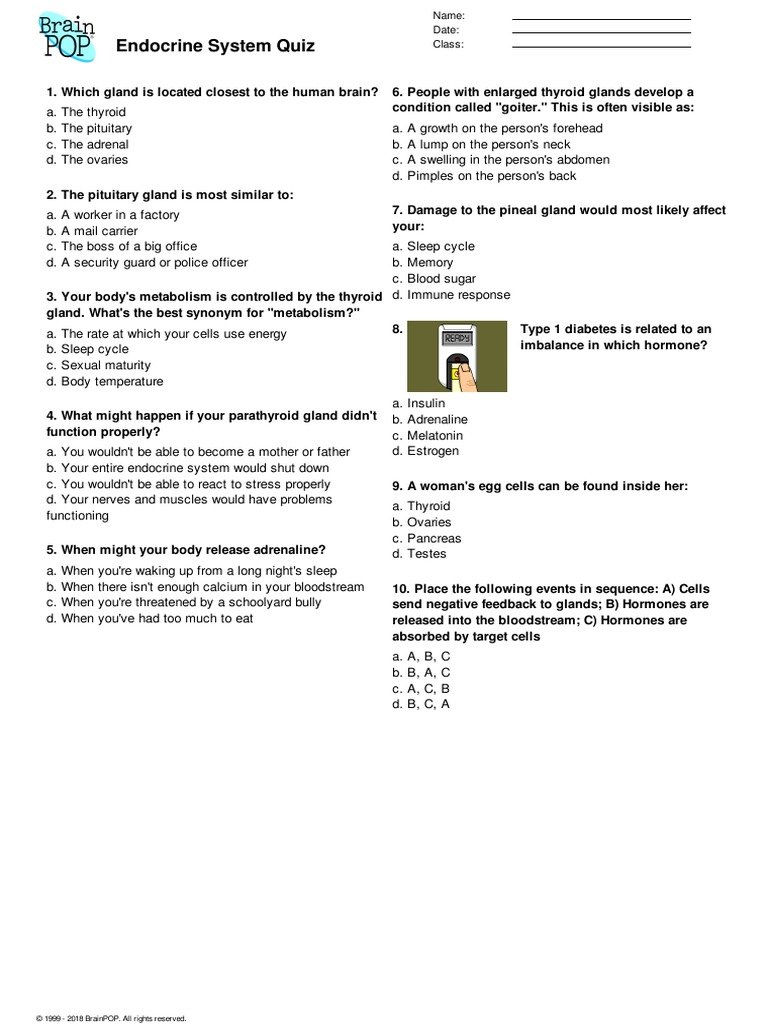 Endocrine System Quiz | PDF | Endocrine System | Hormone