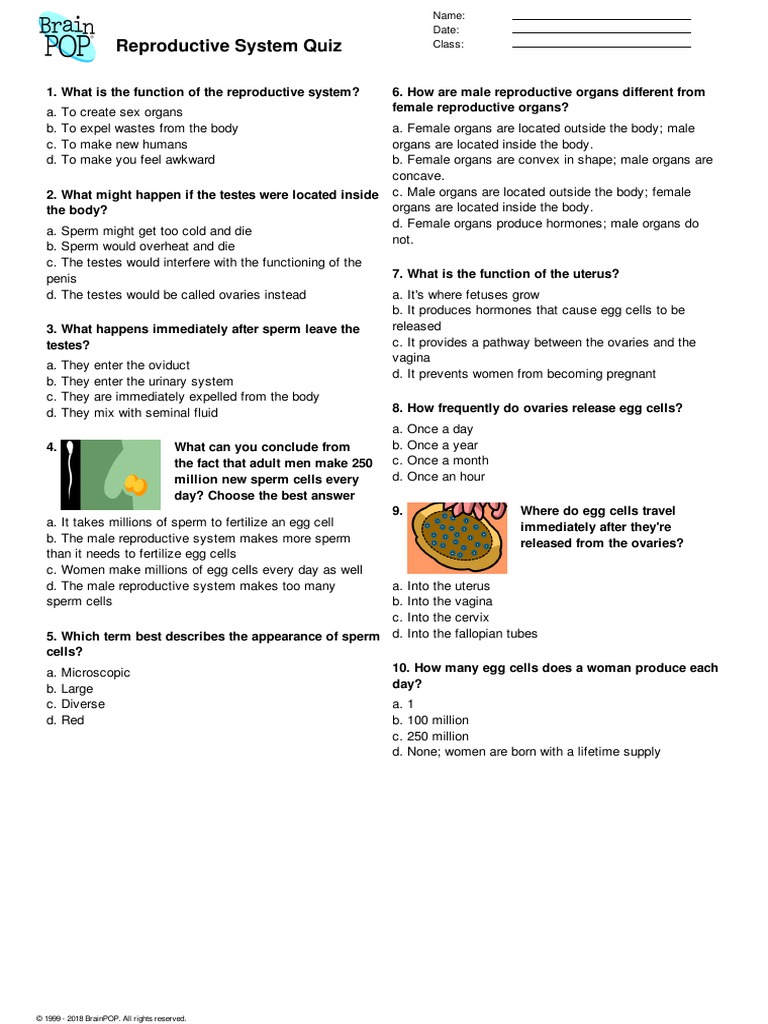 Reproductive System Quiz | Download Free PDF | Reproductive System | Ovary