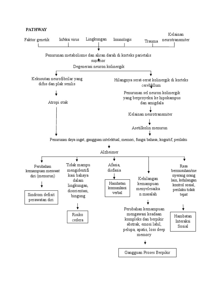 Pathway Alzheimer | PDF
