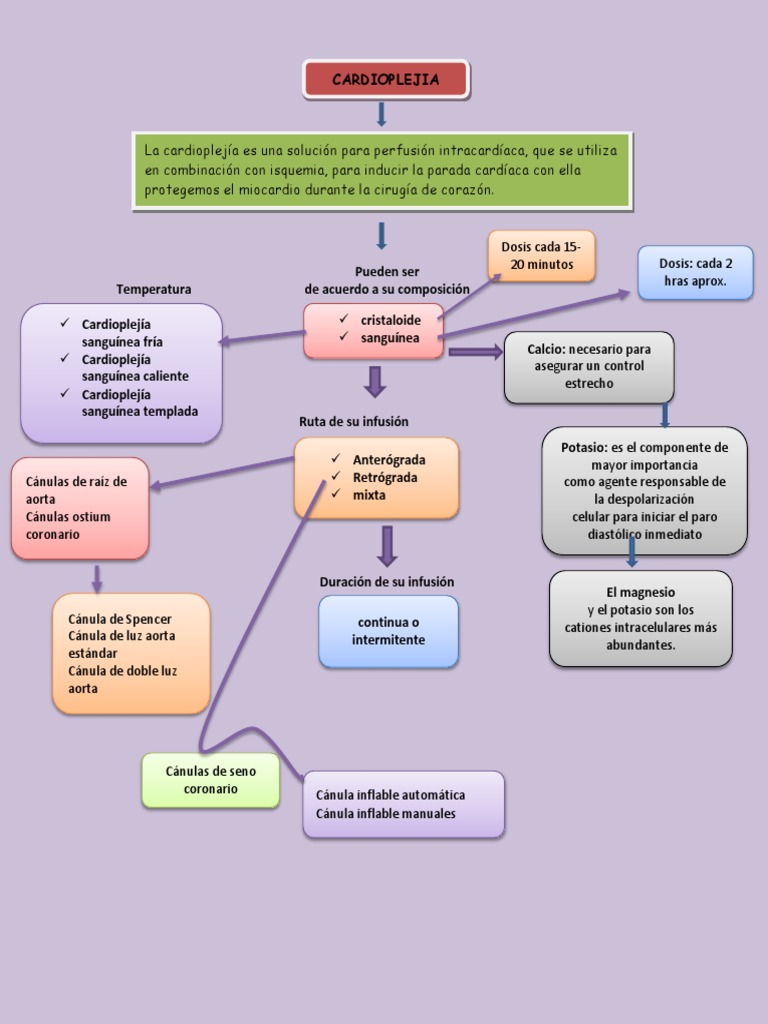 Mapa Cardioplejia | PDF