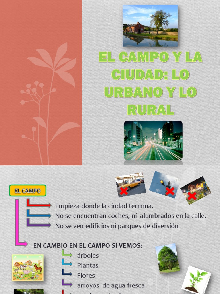 El Campo y La Ciudad | PDF | Familia | Área urbana