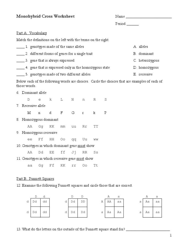 Blank Monohybrid Cross Monohybrid Cross: Mendel's Experiment,