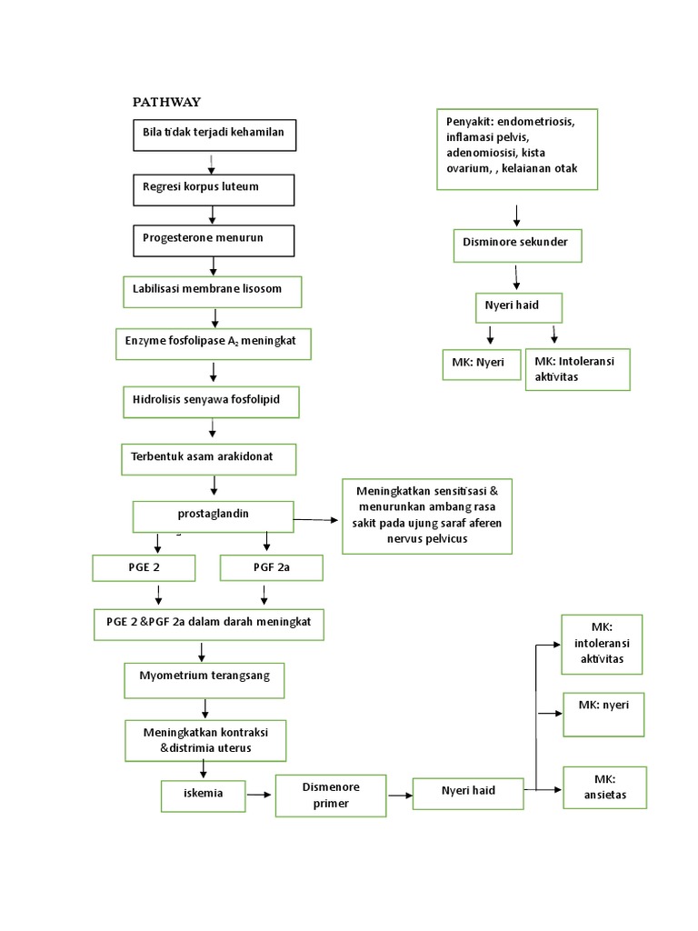Makalah Dismenore | PDF
