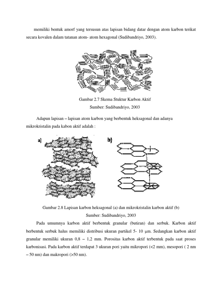 Memiliki Bentuk Amorf | PDF
