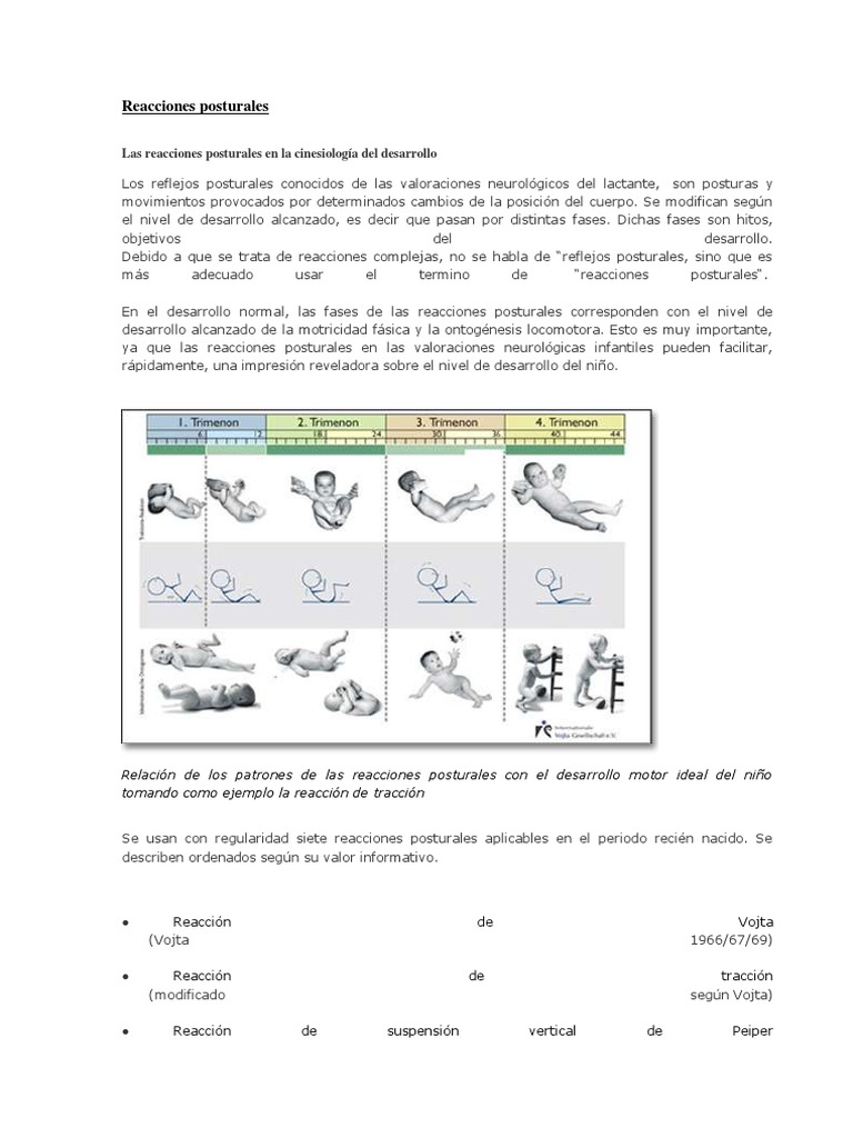 Reacciones posturales | Pie | La columna vertebral