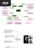 Mapa Conceptual India | PDF