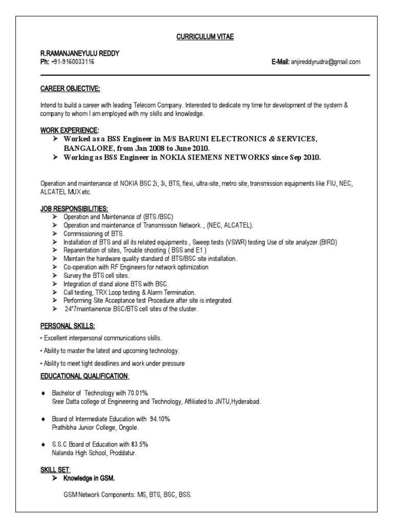 Raman Resume | PDF | Computing | Telecommunications
