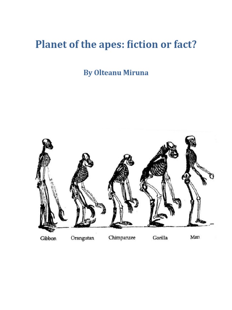 Atestat Engleza | PDF | Hominini | Homo
