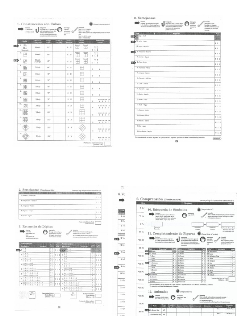 Protocolo Wisc 4 | PDF