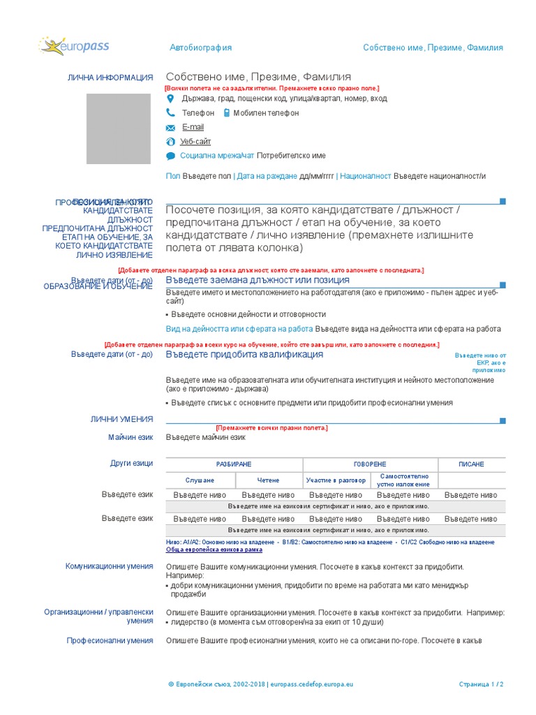 Ecv Template BG | PDF