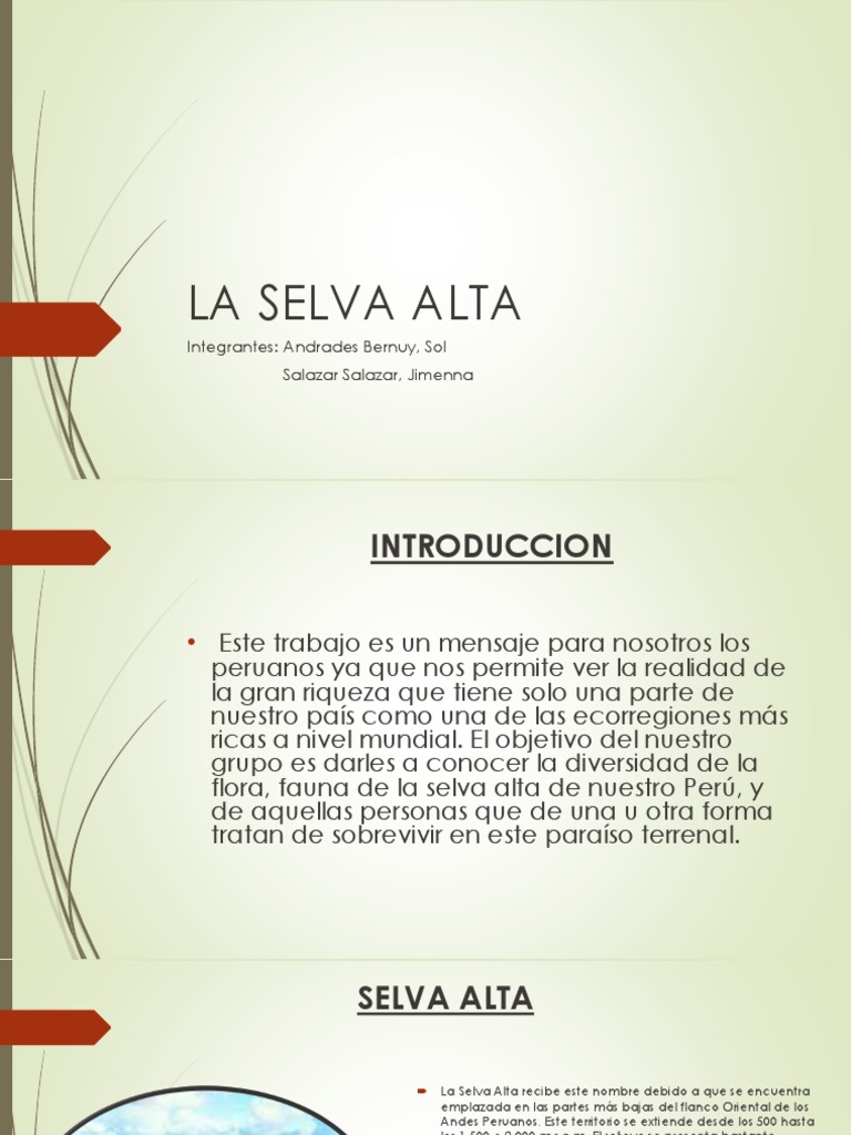 Ecosistema Selva Alta o Rupa Rupa | PDF | Perú | Agricultura