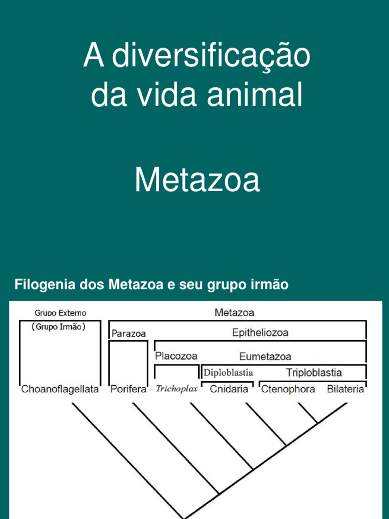 6-Diversidade Dos Metazoa 2018 PDF | PDF | Organismos | Anatomia