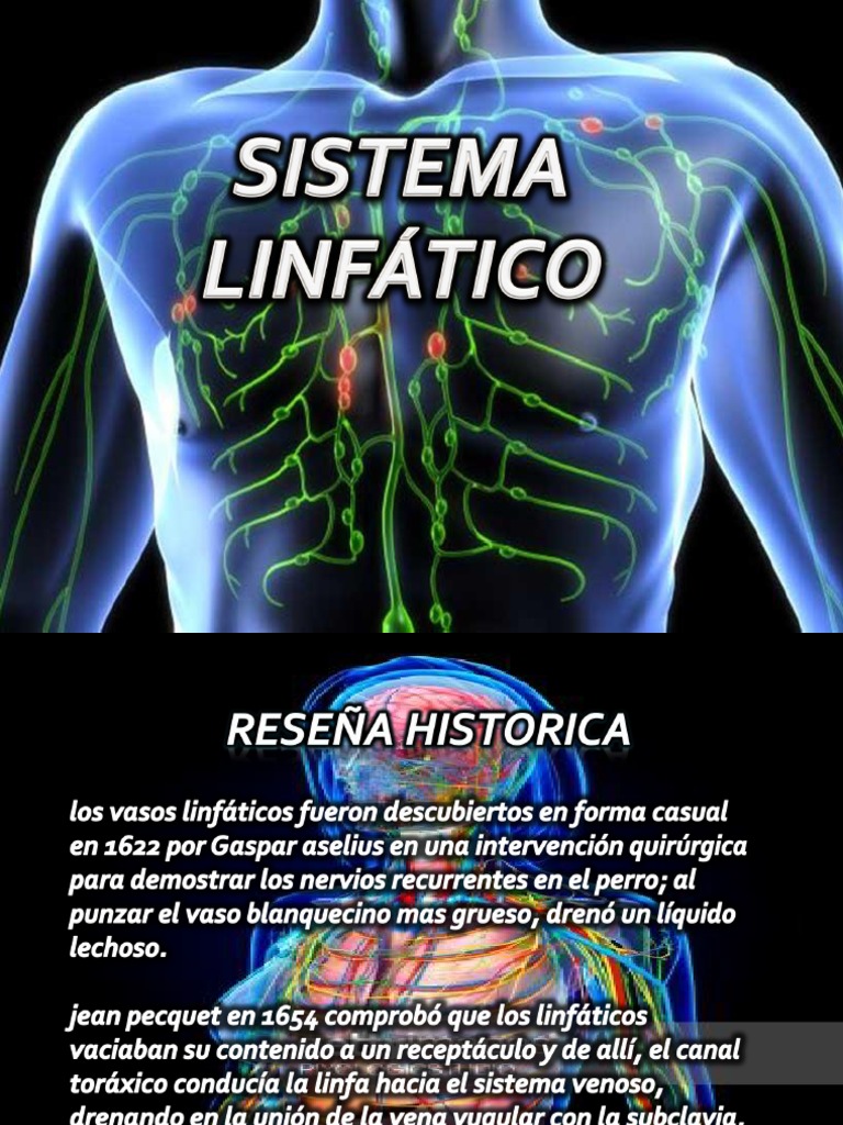 Sistema Linfatico | PDF