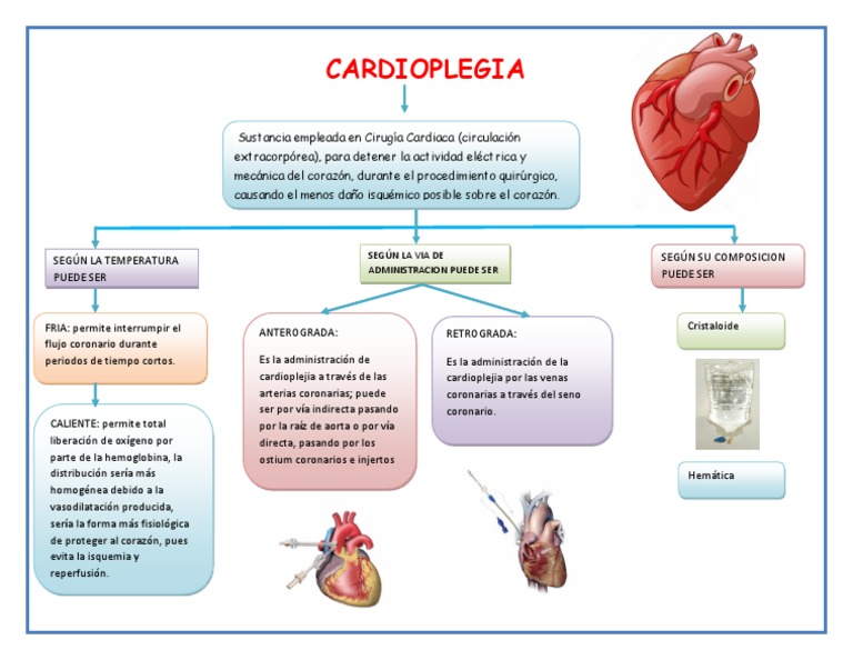 Cardioplegia | PDF