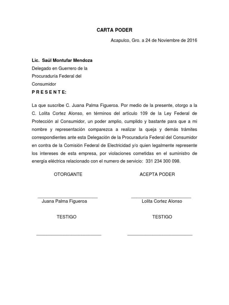 Carta Poder Cfe | PDF
