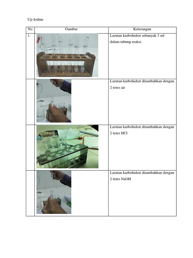 Uji Iodine No Gambar Keterangan 1. Larutan Karbohidrat Sebanyak 3 ML ...