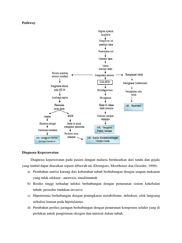Pathway Malaria | PDF