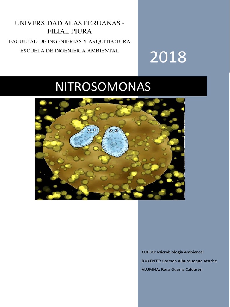 NITROSOMONAS | Nitrógeno | Las bacterias