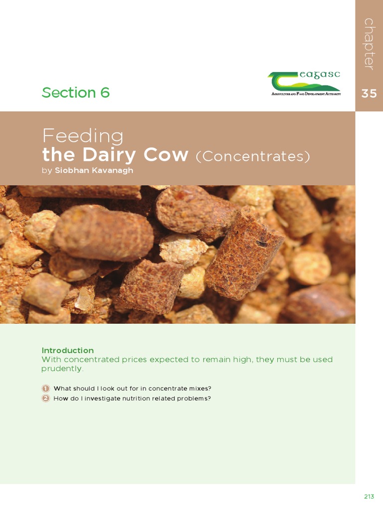 Dairy Cow Concentrate Feeding Guide | PDF | Milk | Cattle