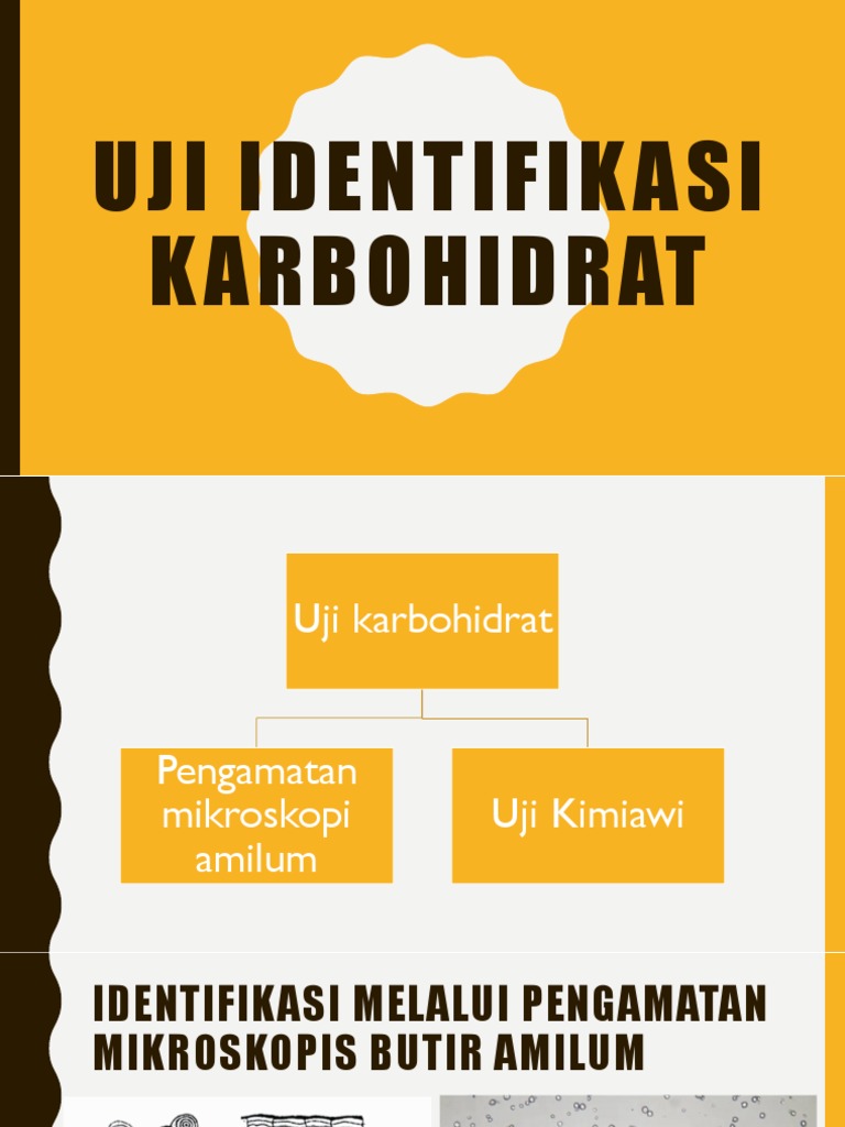 Uji Identifikasi Karbohidrat | PDF