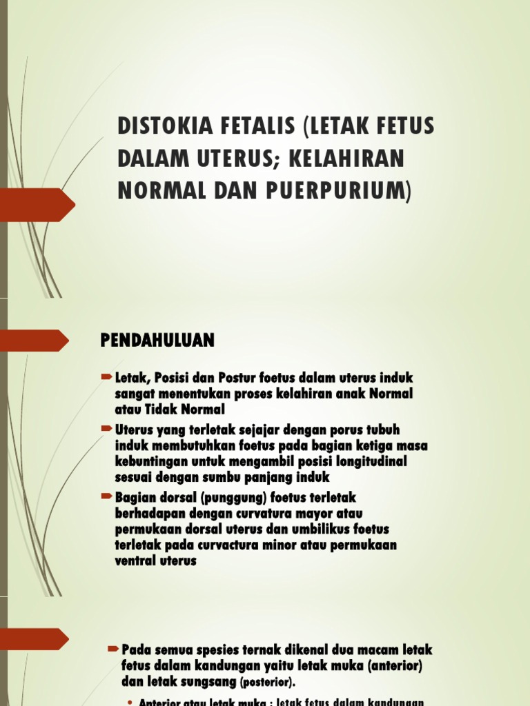 Distokia Fetalis (Letak Fetus Dalam Uterus | PDF
