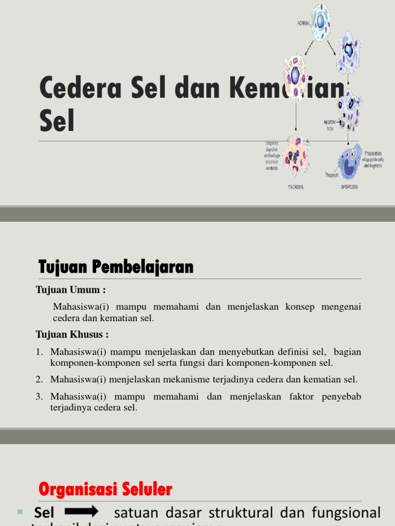 Cedera Sel Dan Kematian Sel | PDF