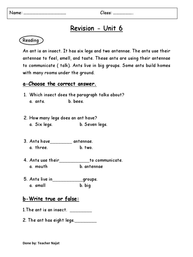 Revision - Unit 6: A-Choose The Correct Answer | PDF | Butterfly | Insects