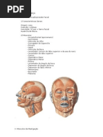 Exercicios MO | PDF | Língua | Boca