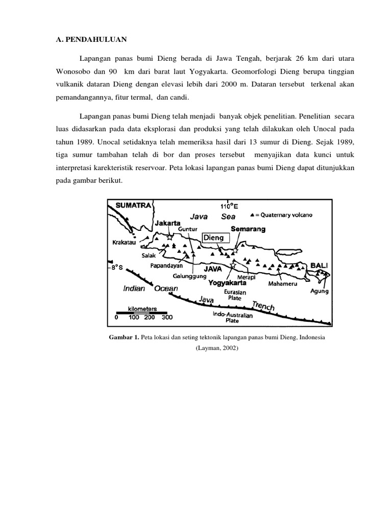 Lapangan Panas Bumi Dieng | PDF