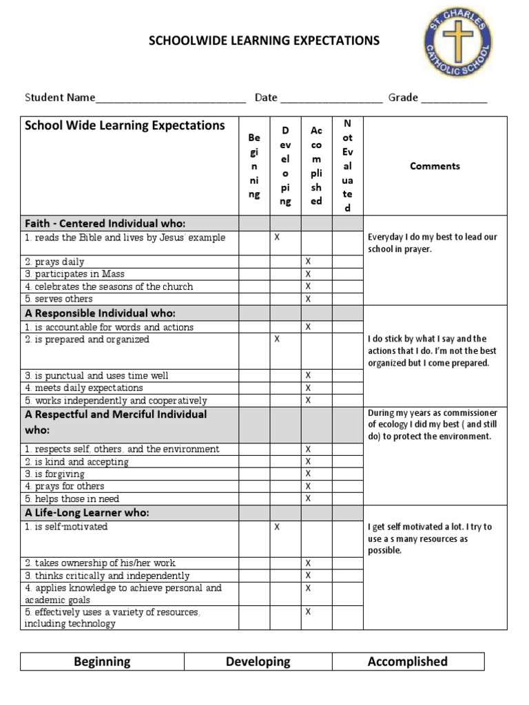 Schoolwide Learning Expectations Guide | PDF | Education Theory ...