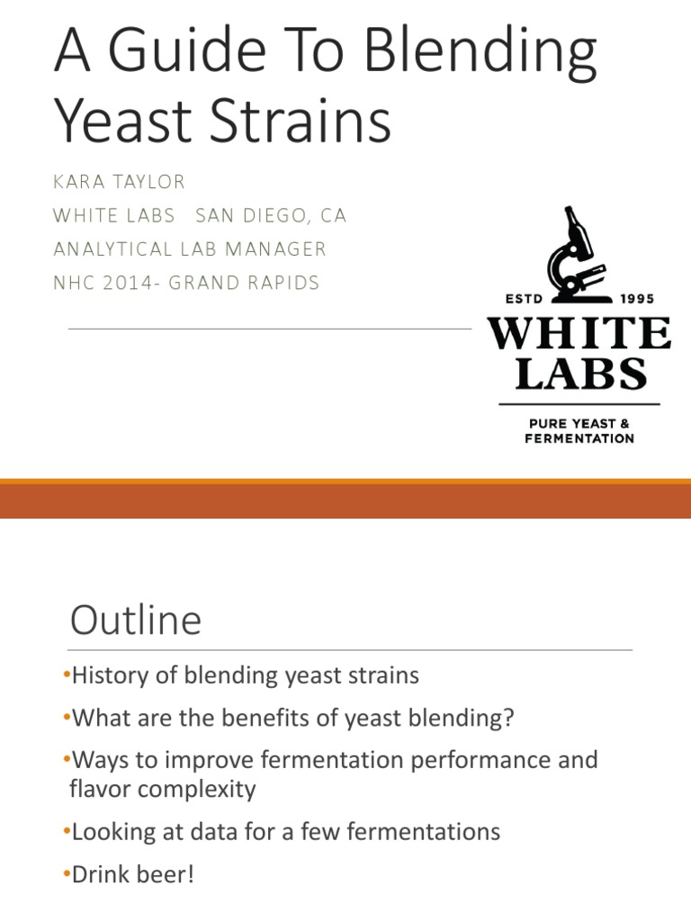 A Guide To Blending Yeast Strains | PDF | Brewing | Beer