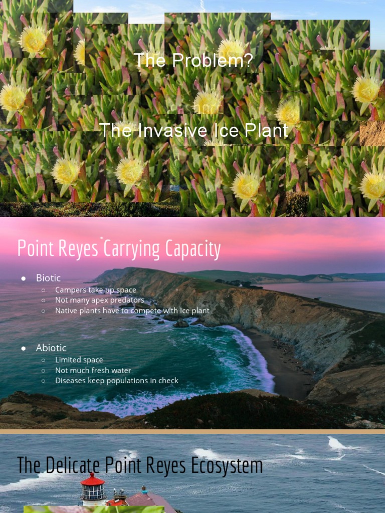 Ecology Project | PDF | Invasive Species | Ecosystem