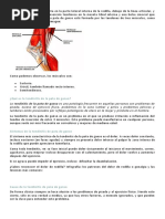 Ejercicios de Risser | PDF