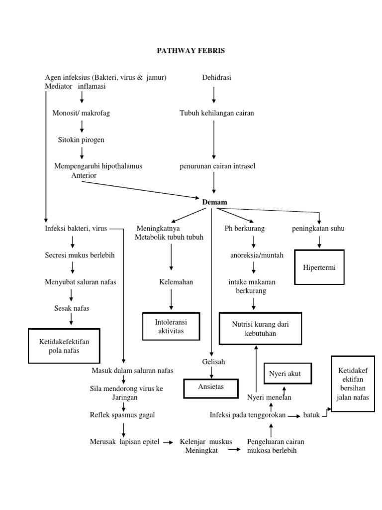 Pathway Febris | PDF