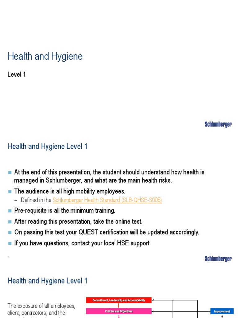 Health and Hygiene: Level 1 | PDF | Sexually Transmitted Infection ...