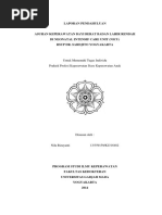 Pathway Bisitopenia | PDF